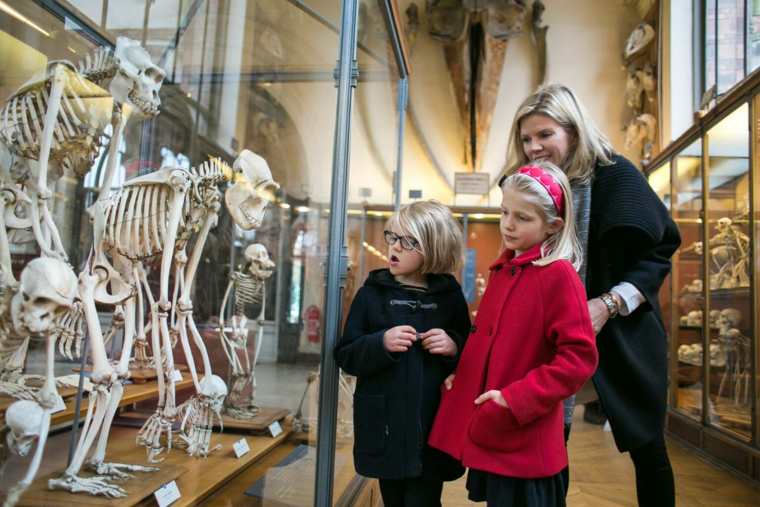 Paris Muse Family Days - Paris Muse | Private & Family Tours